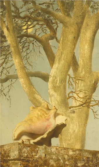 Hennessy Patrick | THE CONCH SHELL | Compare similar artworks | MutualArt