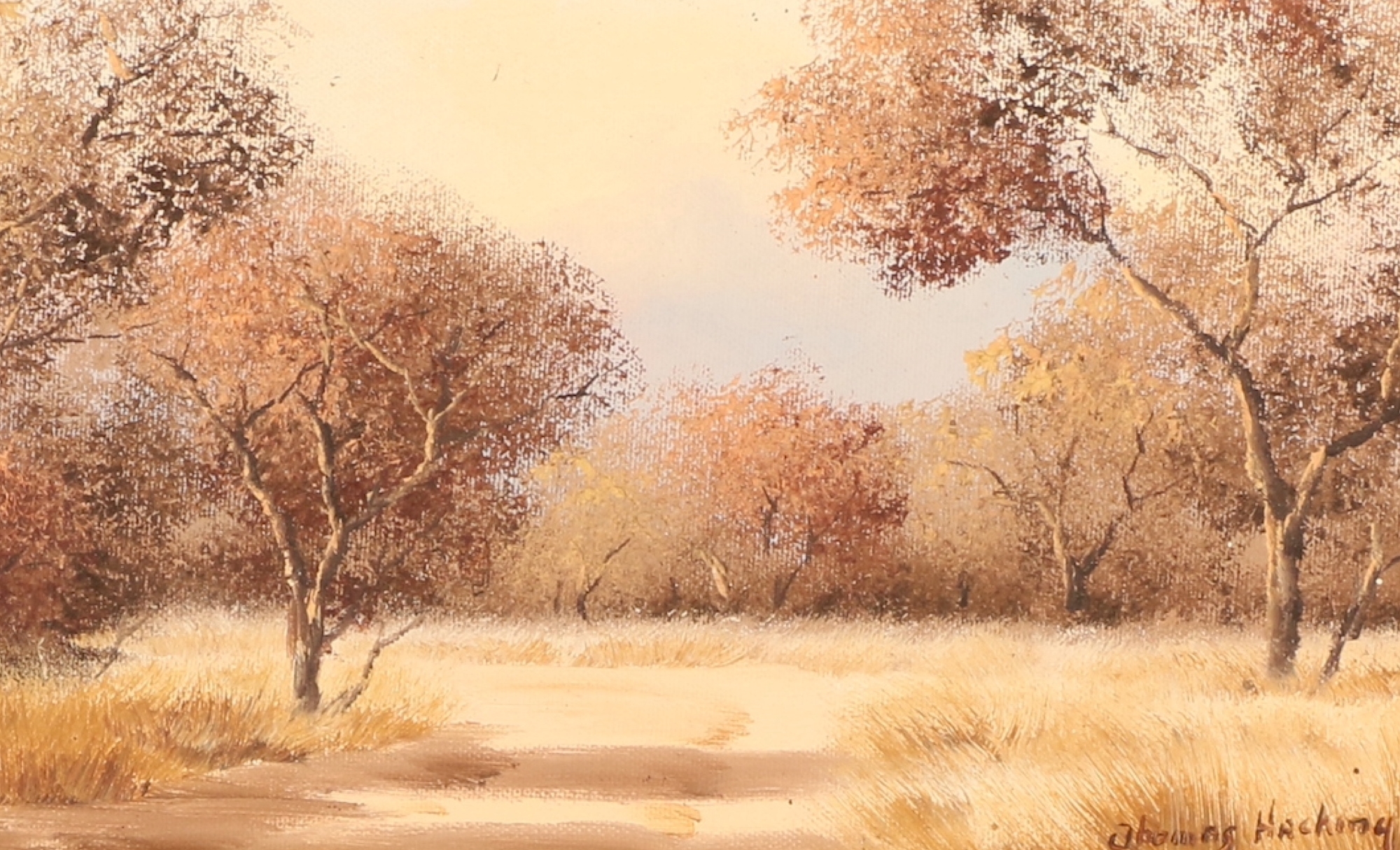 Thomas Hacking | BUSHVELD SCENE | MutualArt