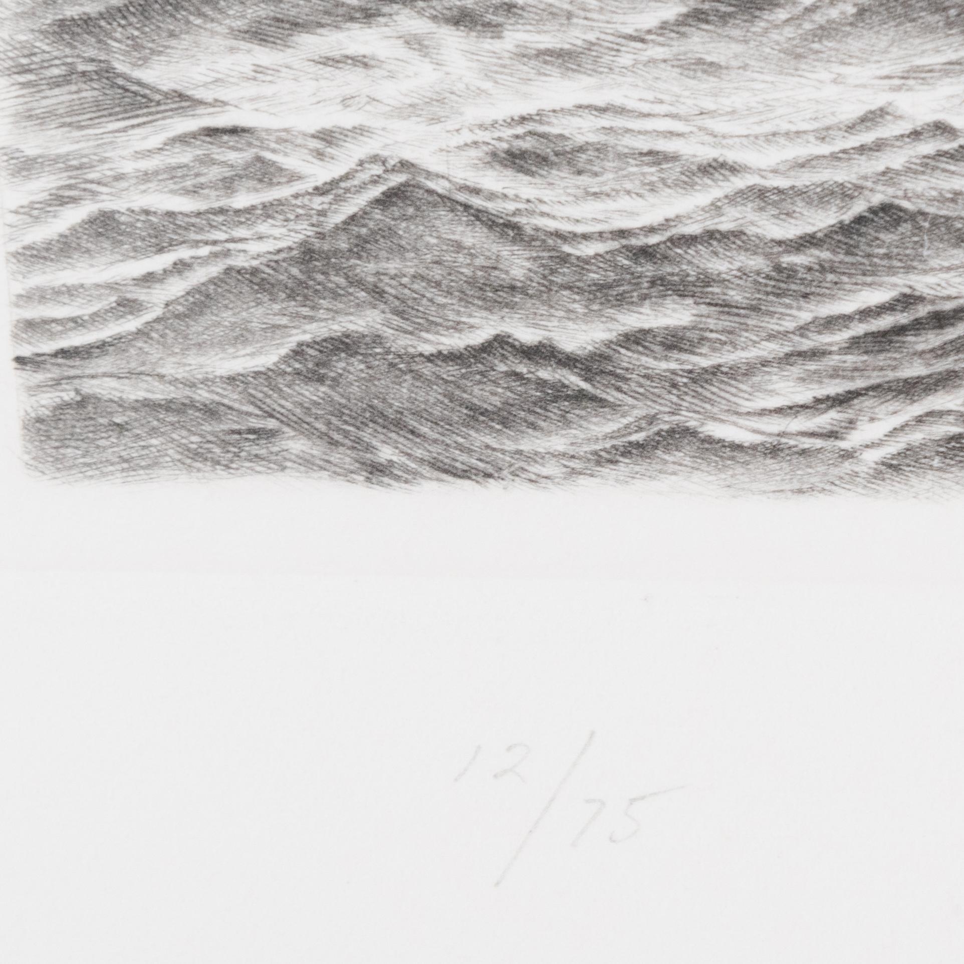 Vija Celmins | Drypoint-Ocean Surface (1983) | MutualArt