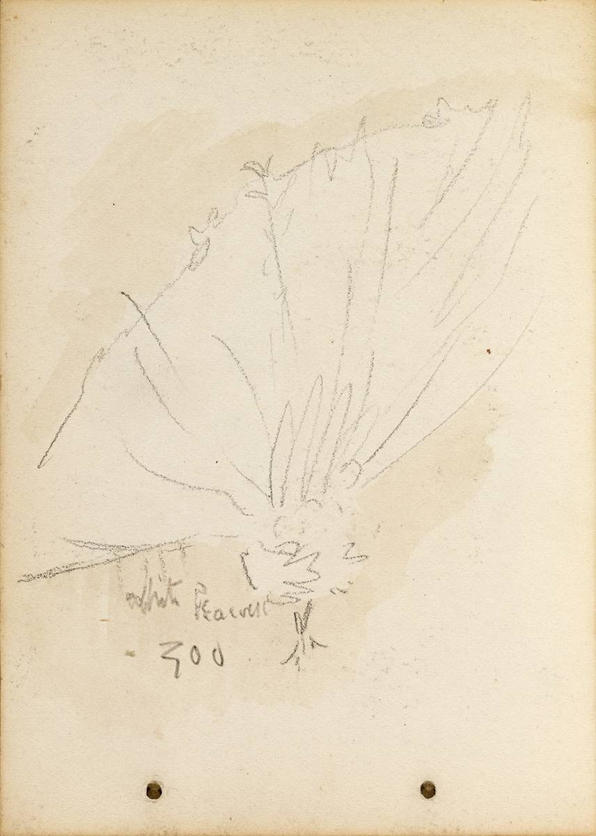 Jack B. Yeats | FROM TRAM, 1899 (1899) | MutualArt