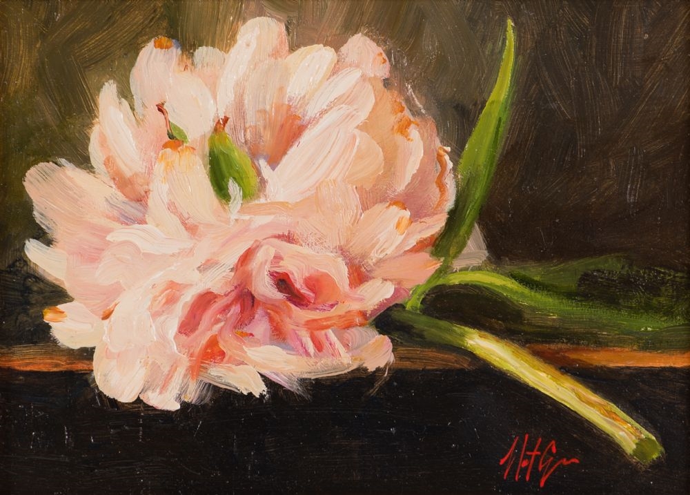 Mat Grogan | PINK PEONY ROSE | MutualArt