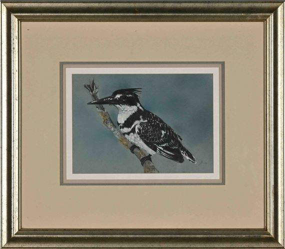 Angela Key | PIED KINGFISHER (1994) | MutualArt