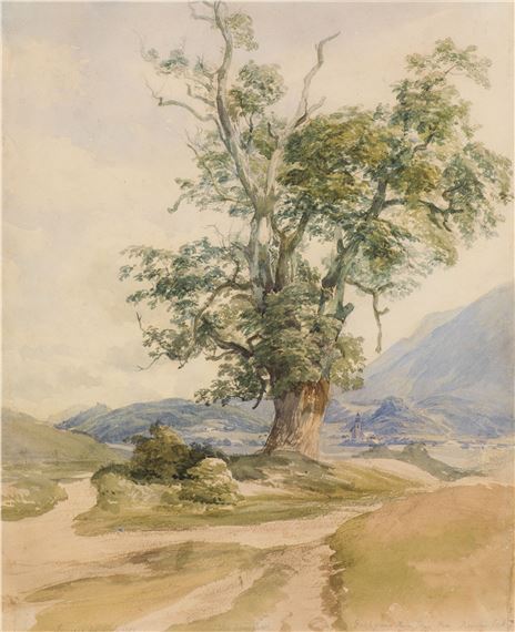 Joseph Höger | Landscape with old tree | MutualArt
