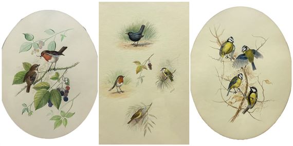 John Reed | Robin and other Bird Studies | MutualArt