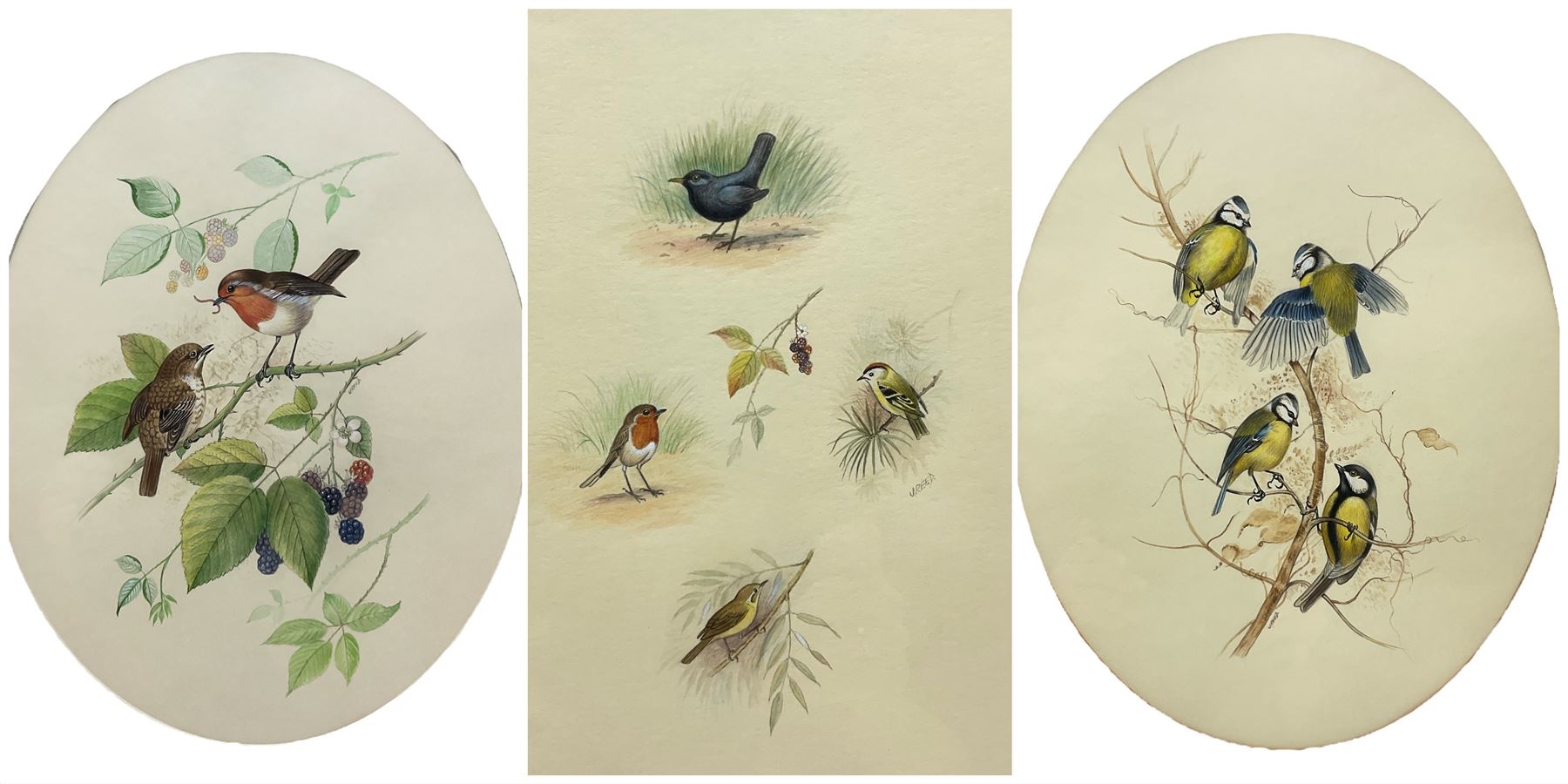 John Reed | Robin and other Bird Studies | MutualArt