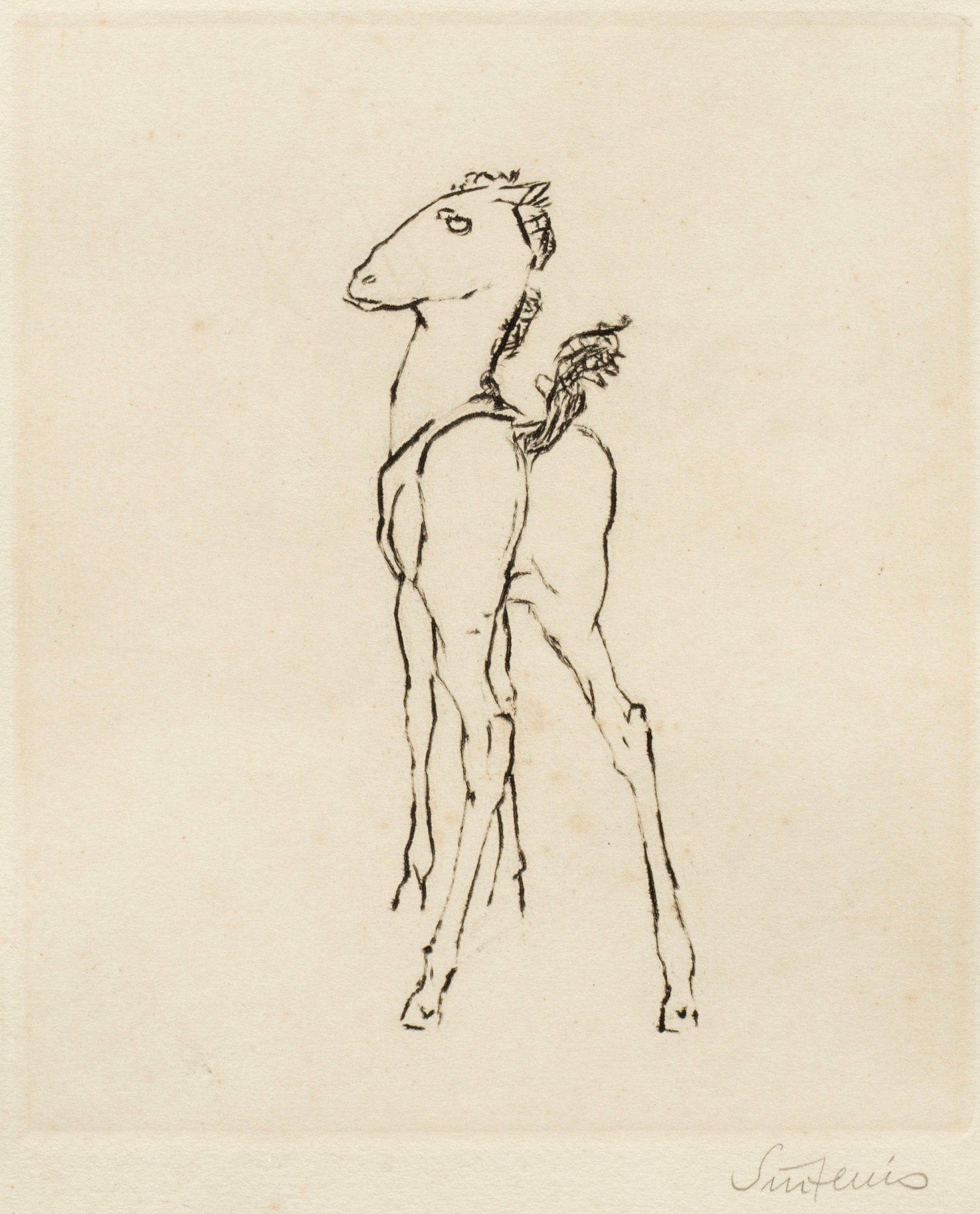 Renee Sintenis | Stehendes Fohlen | MutualArt