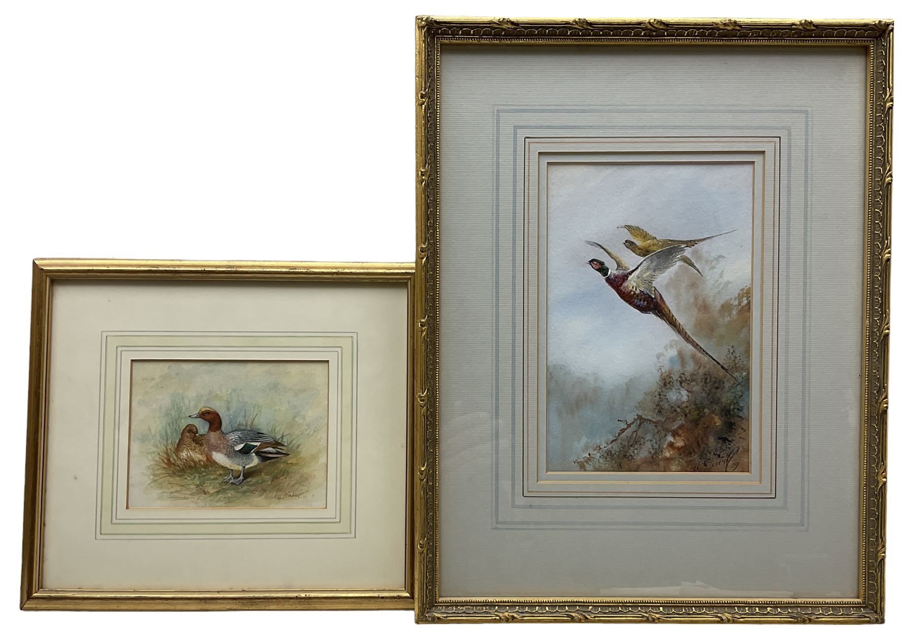 James Stinton | Male and Female Duck (1929) | MutualArt