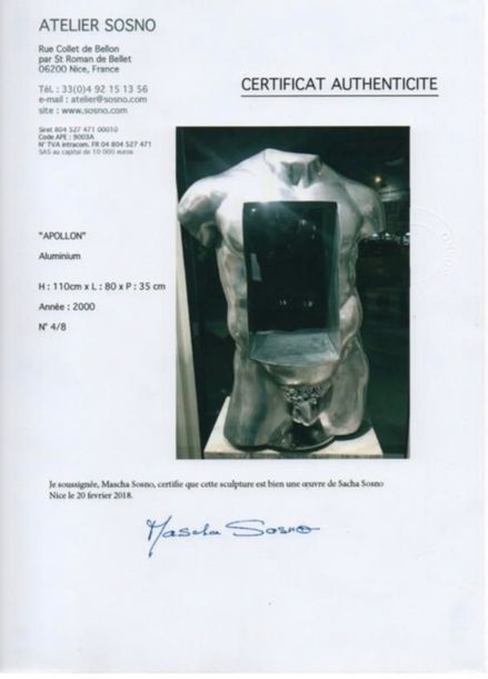 Sacha Sosno | Apollo obliterated (2000) | MutualArt