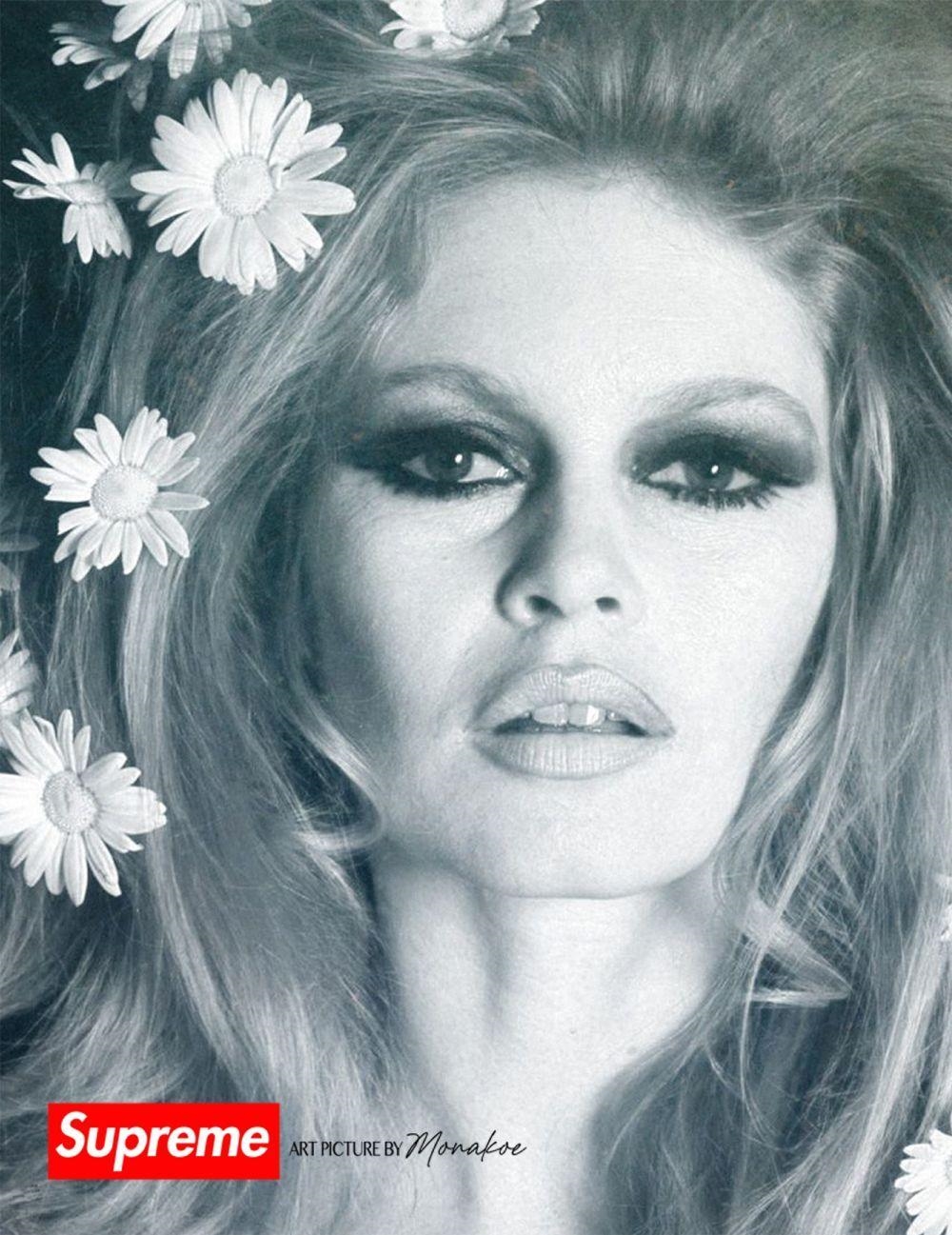 Monakoe | Brigitte Bardot | MutualArt