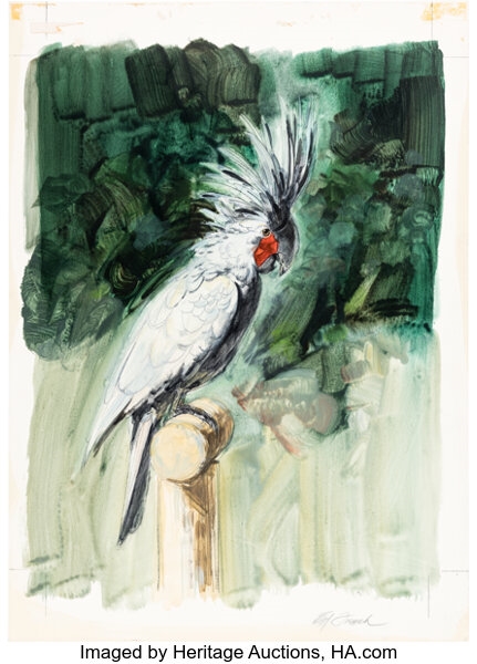 Ed French | Walt Disney World Discovery Island Black Palm Cockatoo ...