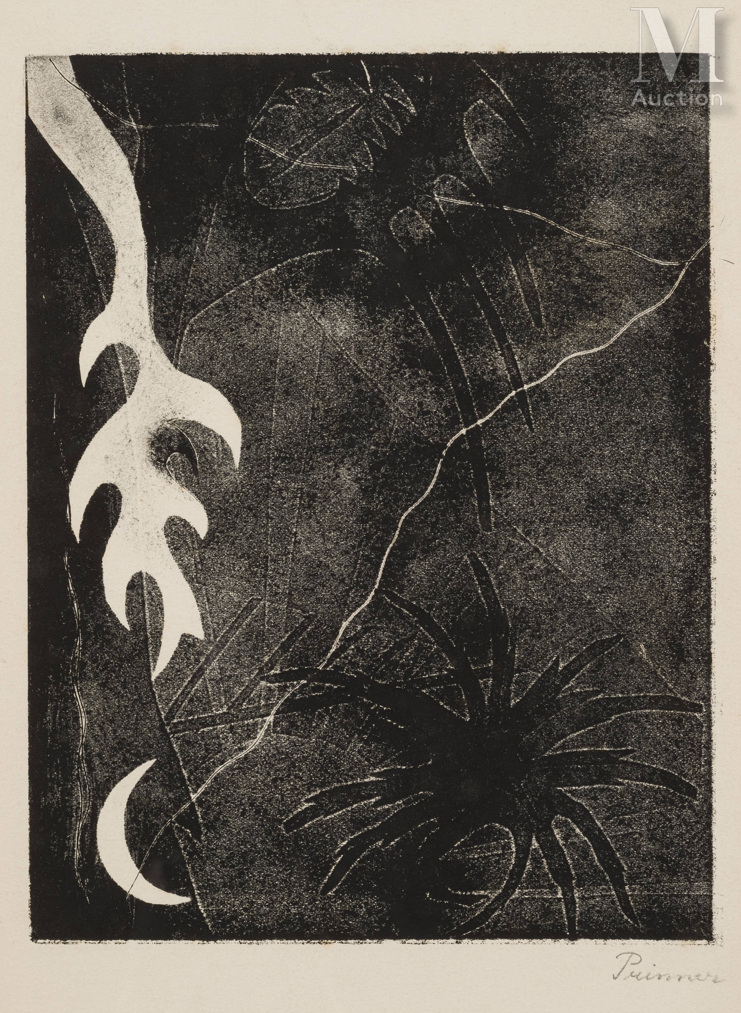 Anton Prinner | Formes végétales | MutualArt