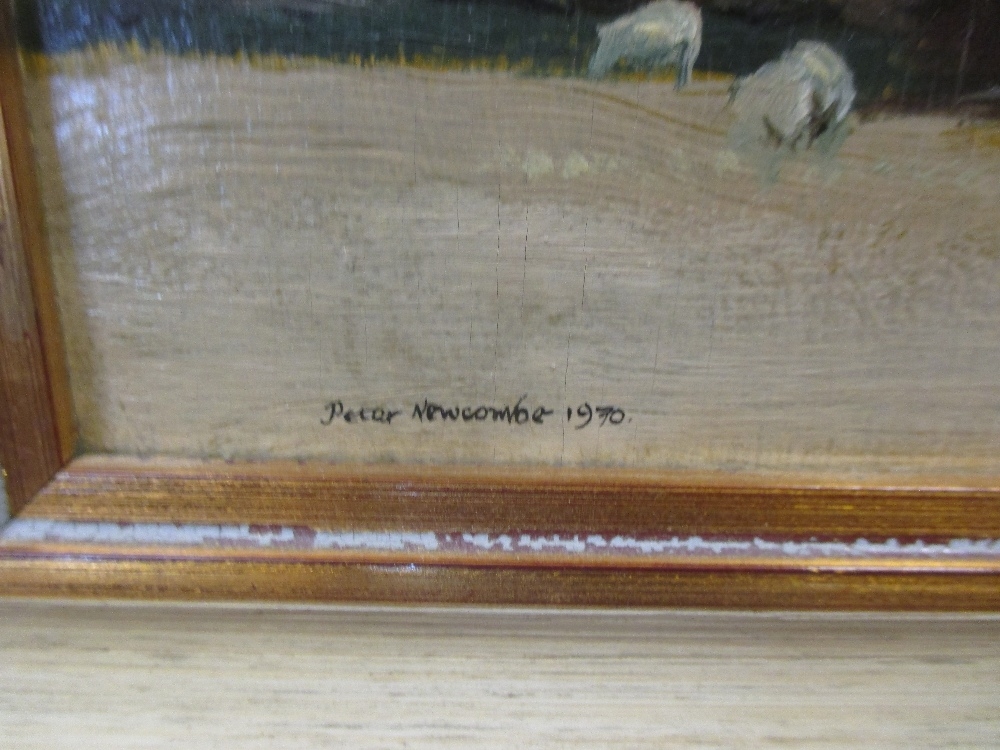 Peter Newcombe | Peter Newcombe (1970) | MutualArt