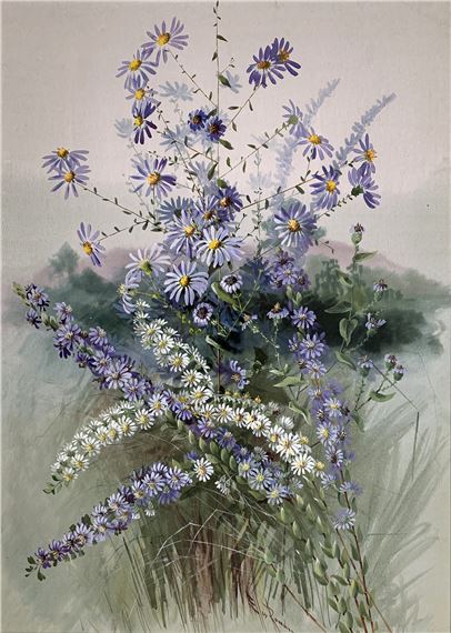 Marian Ellis Rowan | North American Asters | MutualArt