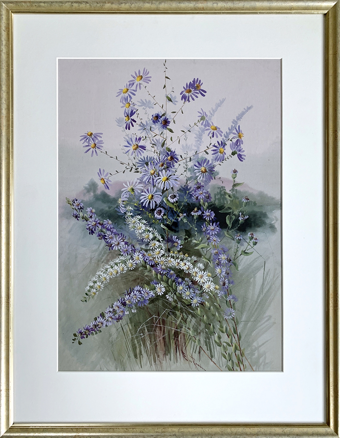 Marian Ellis Rowan | North American Asters | MutualArt