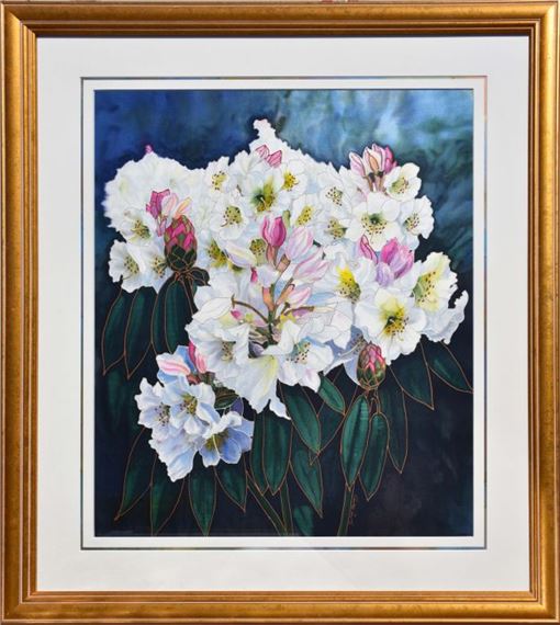 Gillian Murray | Biography