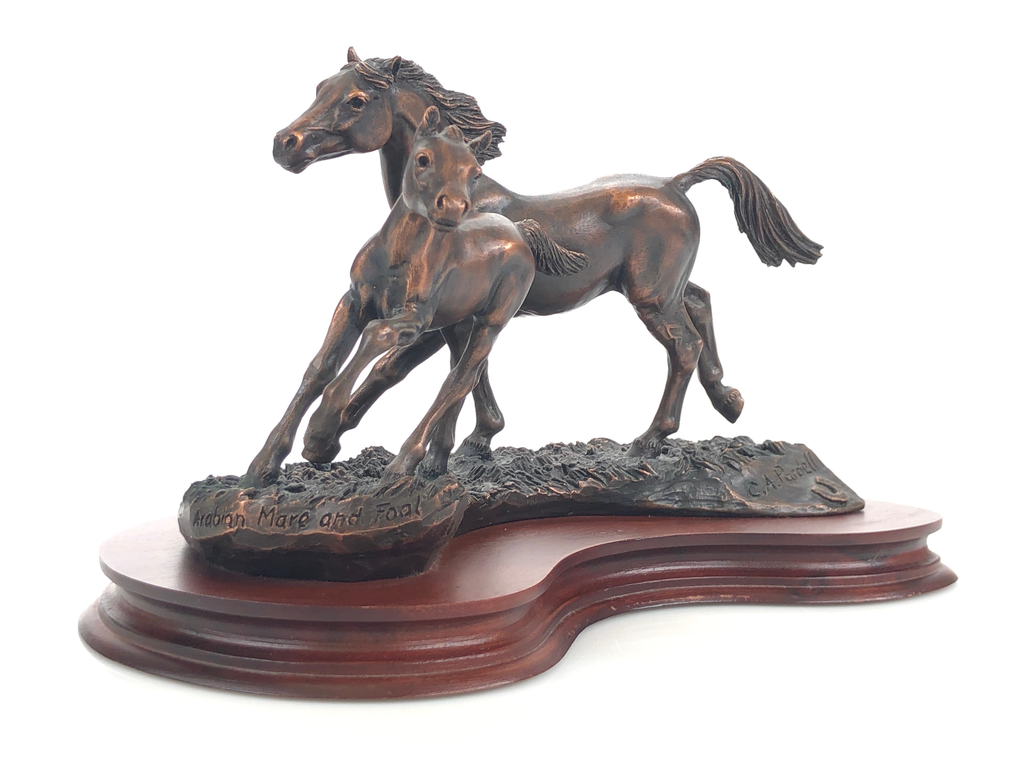 Christopher A. Pardell | Arabian Mare and Foal | MutualArt