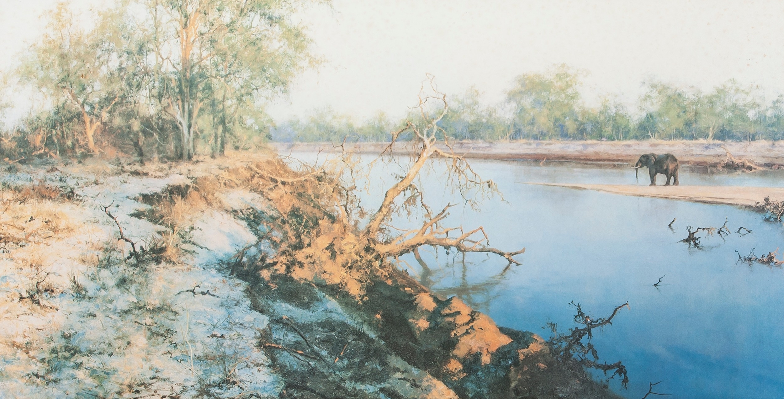 David Shepherd | EVENING OF THE ELEPHANT | MutualArt