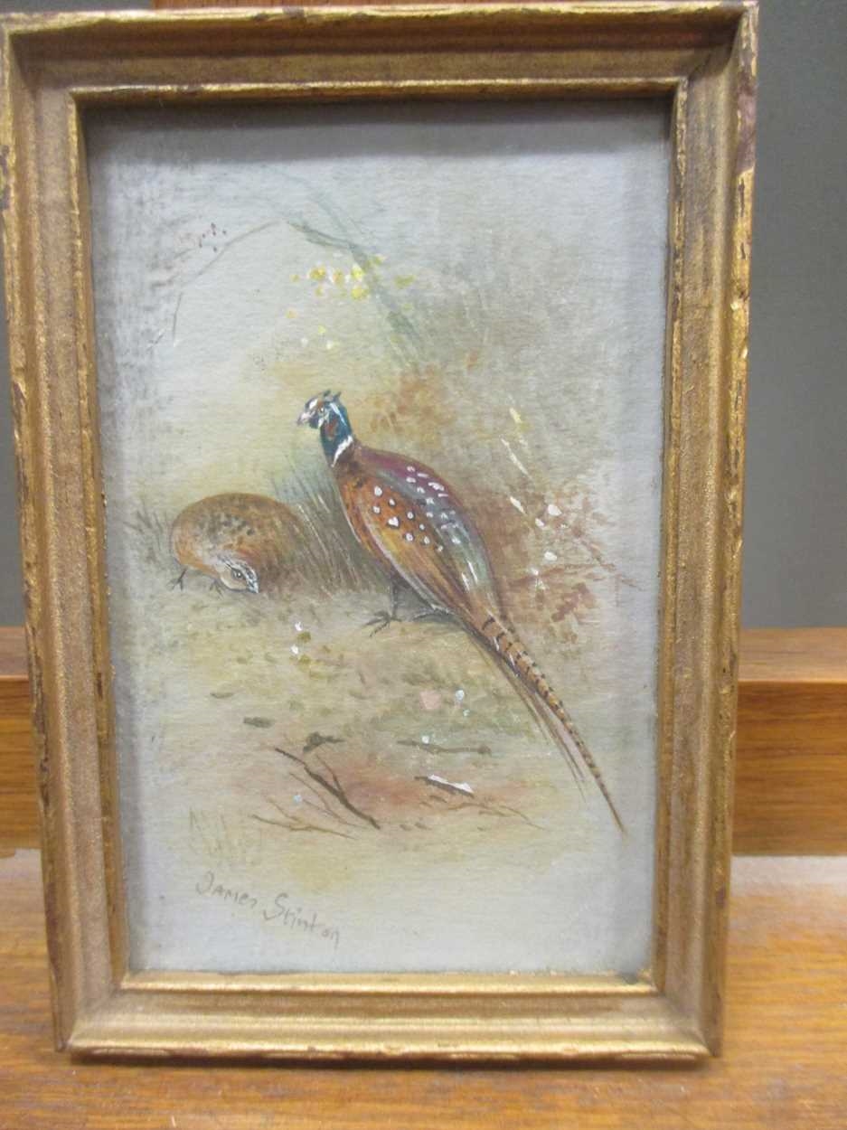 James Stinton | Pheasant studies | MutualArt
