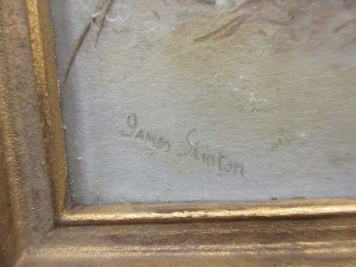 James Stinton | Pheasant studies | MutualArt