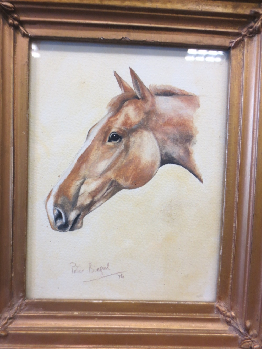 Peter Biegel | Peter Biegel | MutualArt