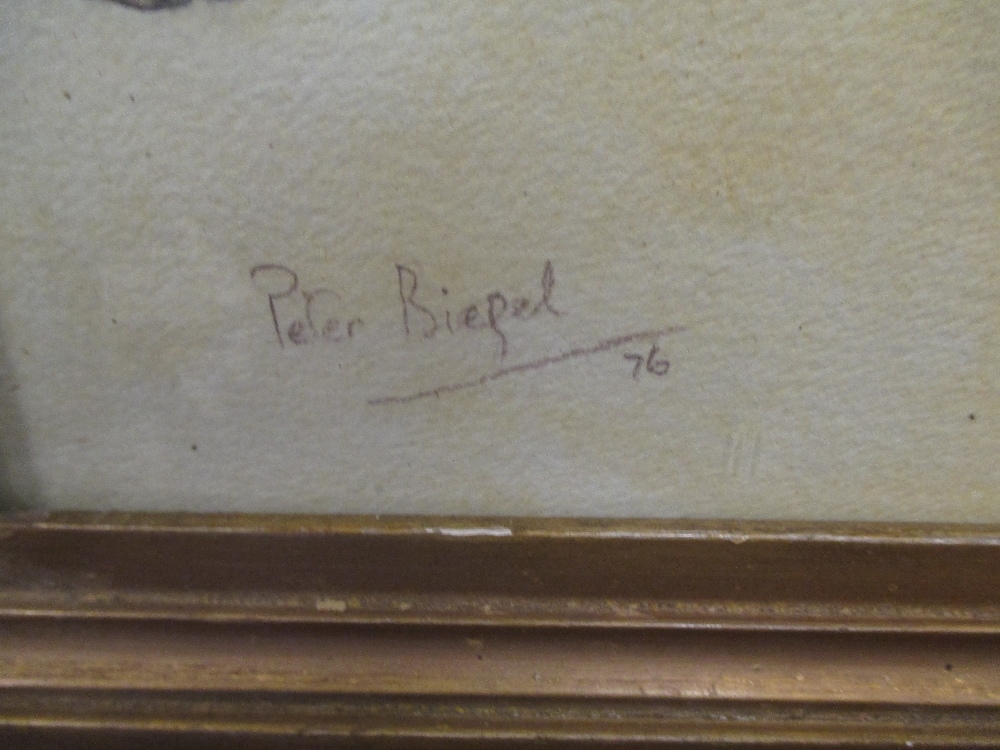 Peter Biegel | Peter Biegel | MutualArt