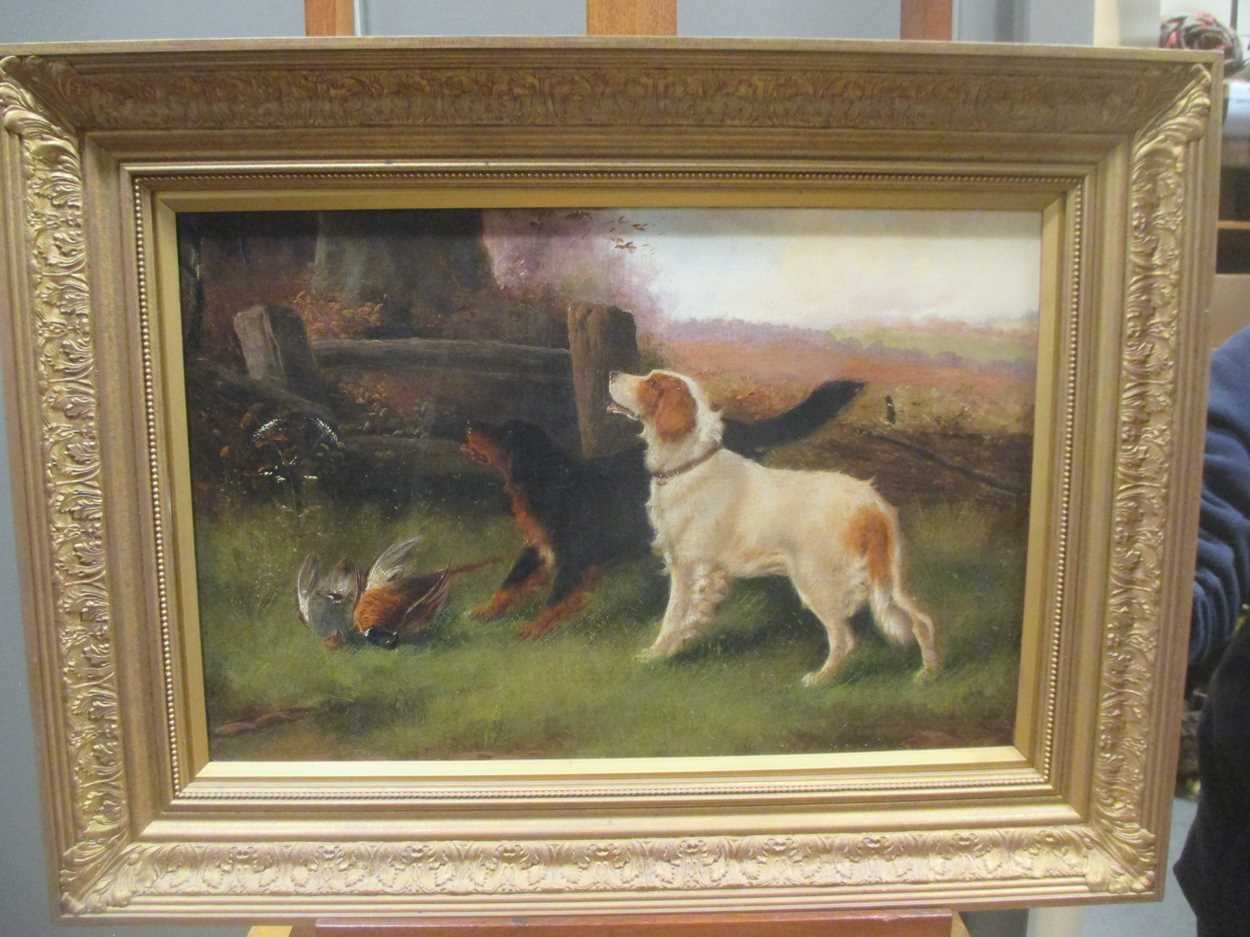 Colin Graeme Roe | Study of an Gordon Setter and an English Setter ...