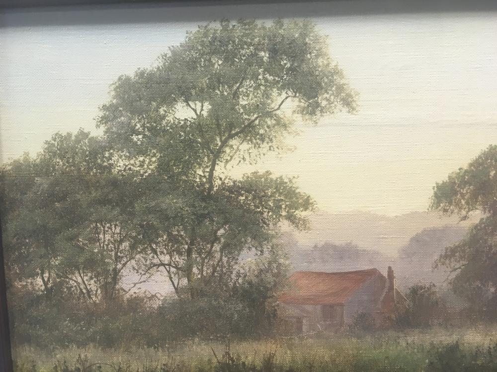 David Dipnall | David Dipnall | MutualArt