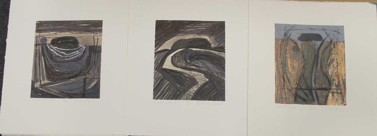 Michael Carlo | Earth Works series (2006) | MutualArt