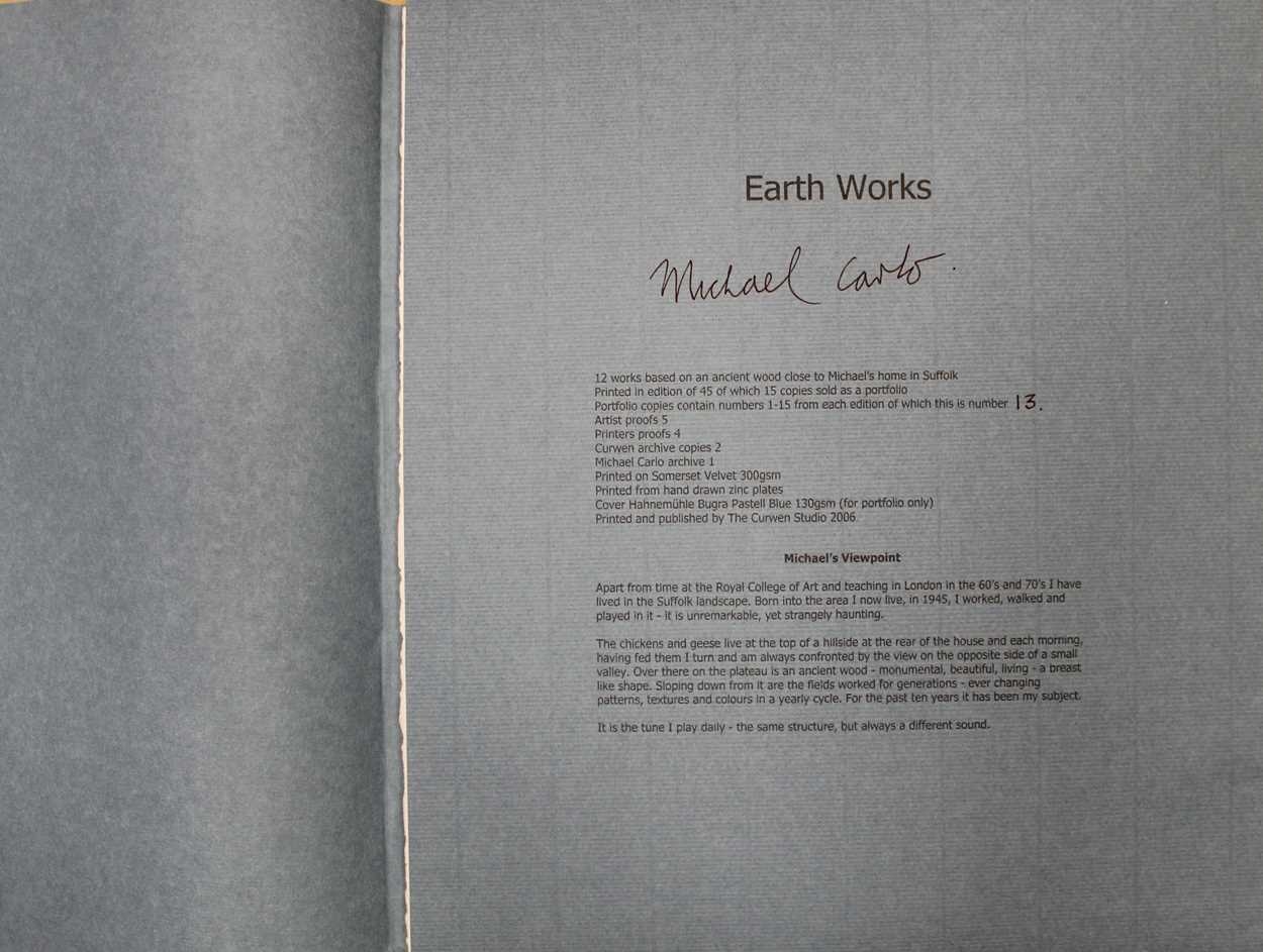 Michael Carlo | Earth Works series (2006) | MutualArt
