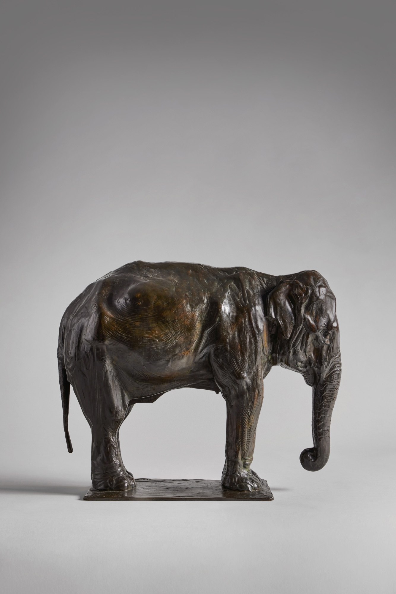 Rembrandt Bugatti | Éléphant au Repos (Circa 1909) | MutualArt