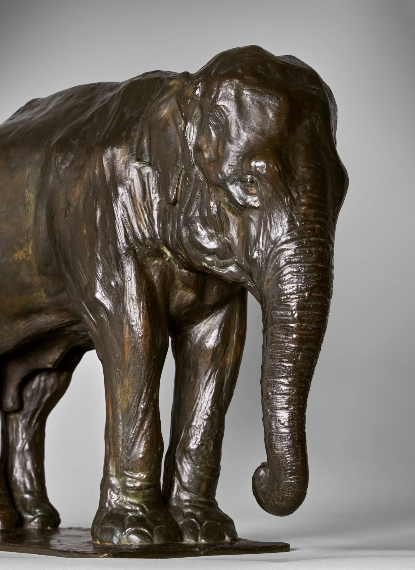 Rembrandt Bugatti | Éléphant au Repos (Circa 1909) | MutualArt