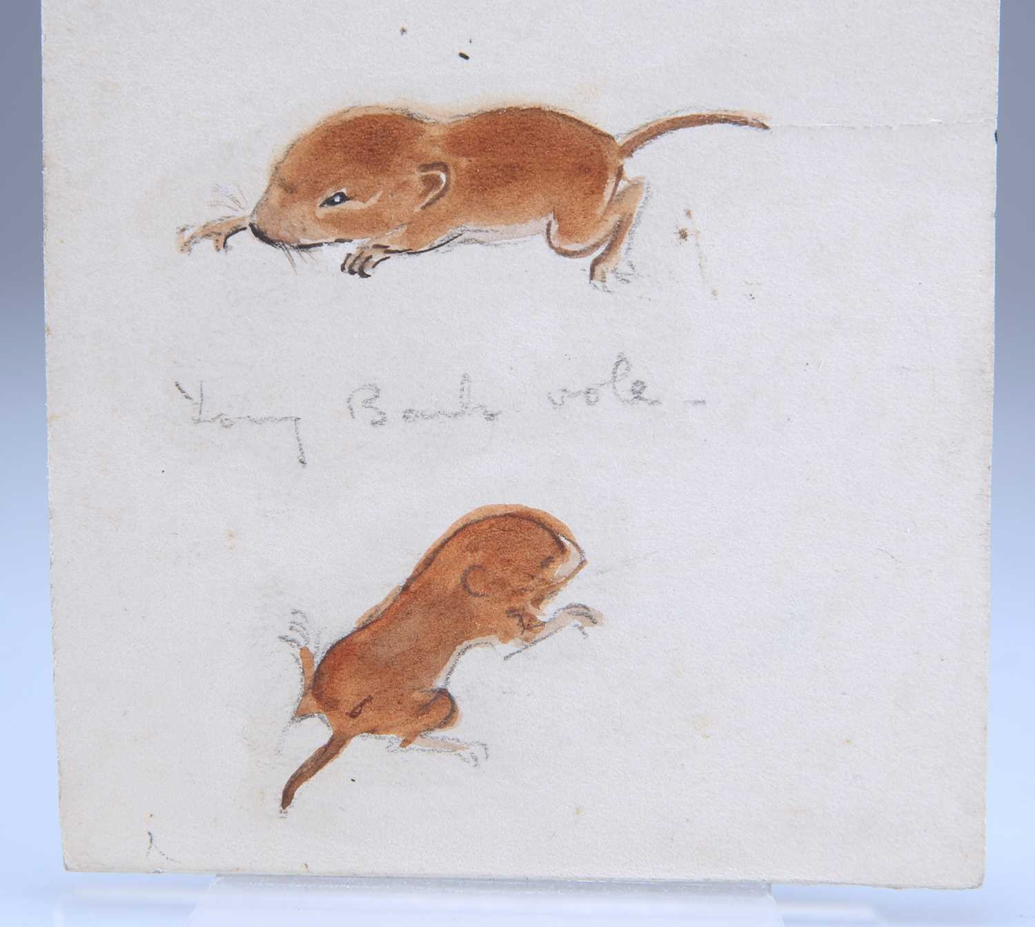 Eileen Alice Soper | TWENTY ORIGINAL DRAWINGS IN A FOLIO | MutualArt