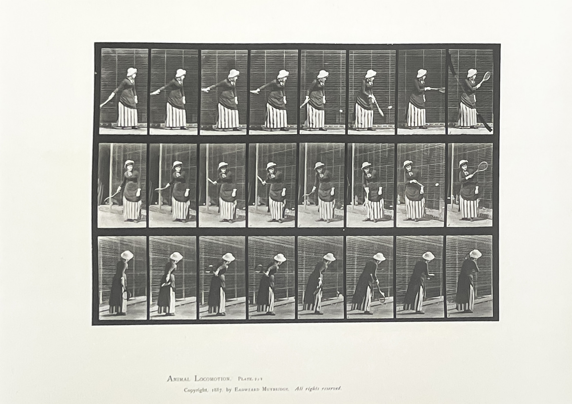 Eadweard Muybridge | Animal Locomotion (1887) | MutualArt