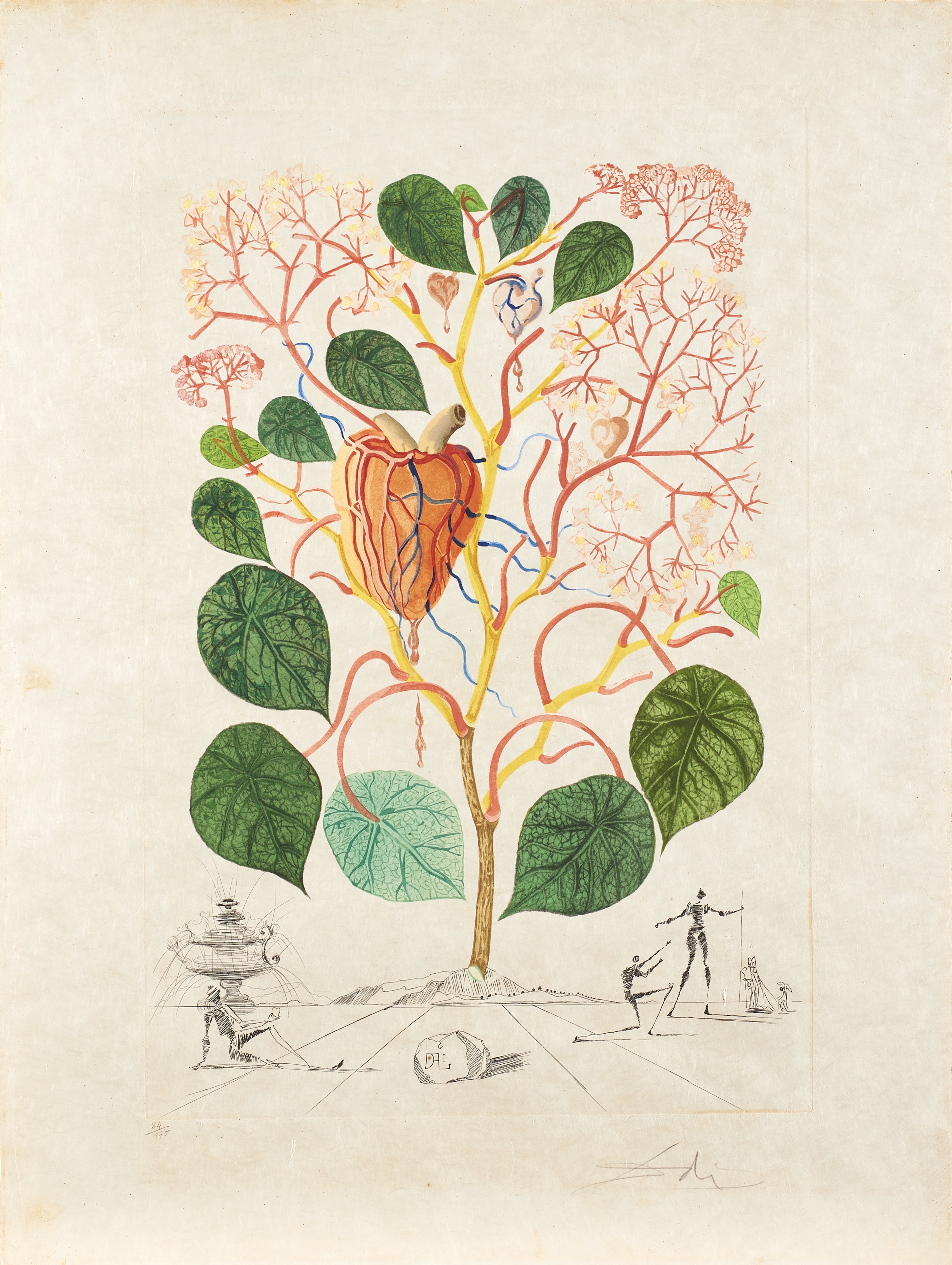Salvador Dalí | Begonia (Anacardium recordans) (1968) | MutualArt