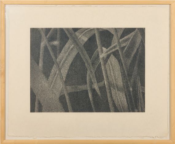 Franz Gertsch | Gräser Detail | MutualArt