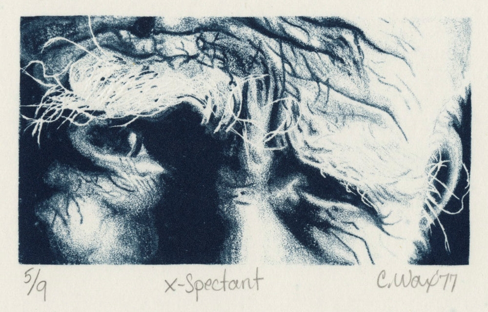 Carol Wax | A Group of Seven Lithographs. (1978) | MutualArt