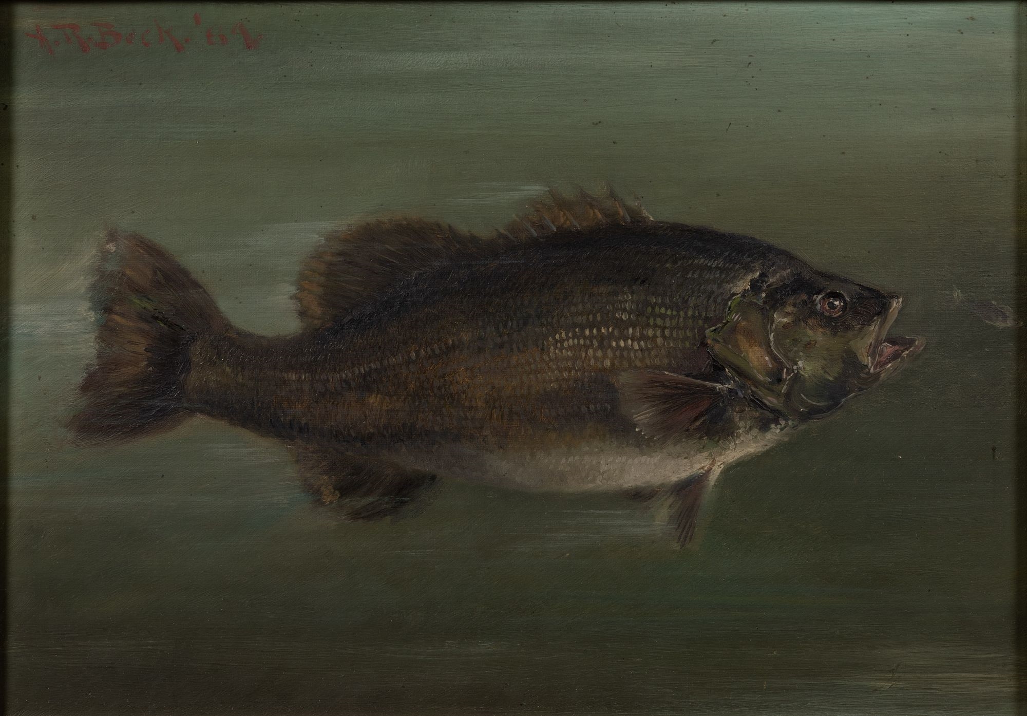 Raphael Beck | FOLK ART SPORTING SCENE, depicting a bass (19th Century ...
