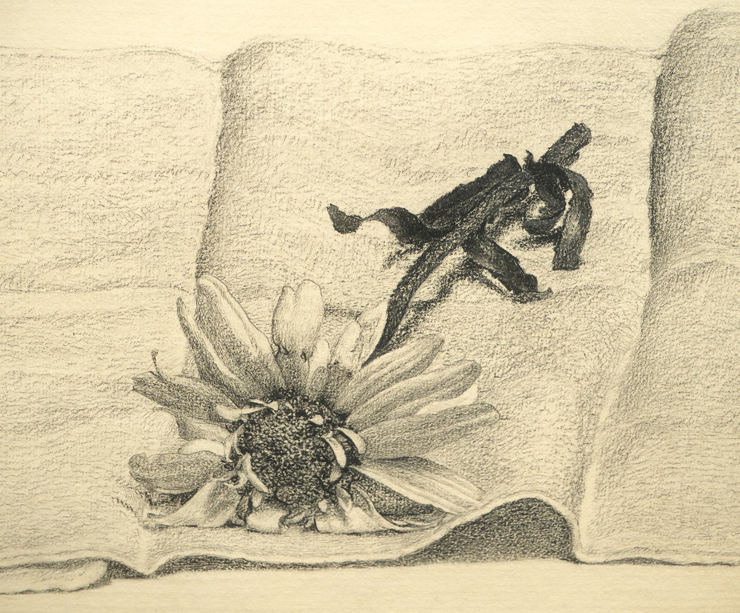 John Stuart Ingle | 2 John Stuart Ingle Charcoal Drawings | MutualArt