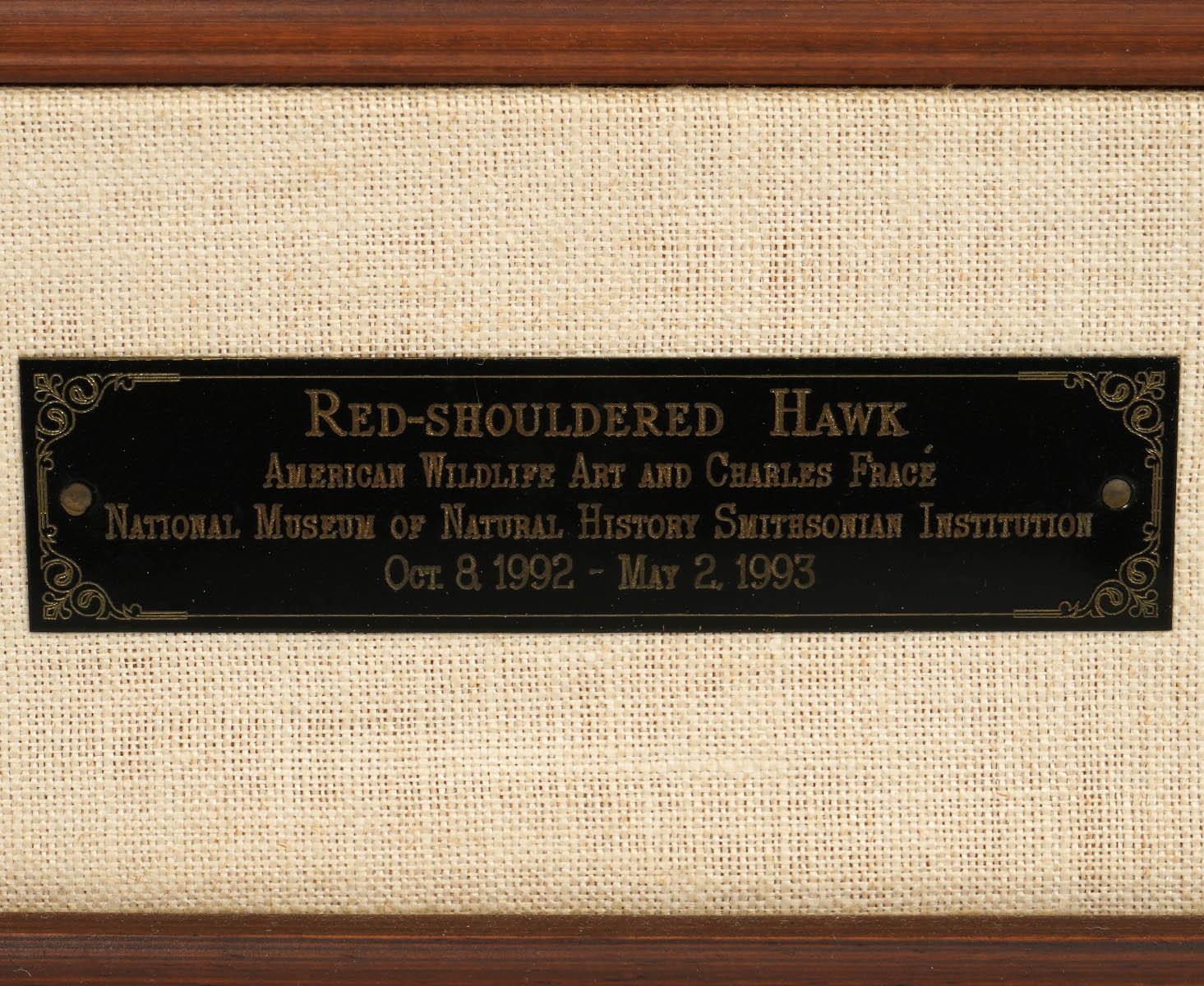 Charles Frace | Charles Frace 'Red Shouldered Hawk' Painting 1978 (1978 ...