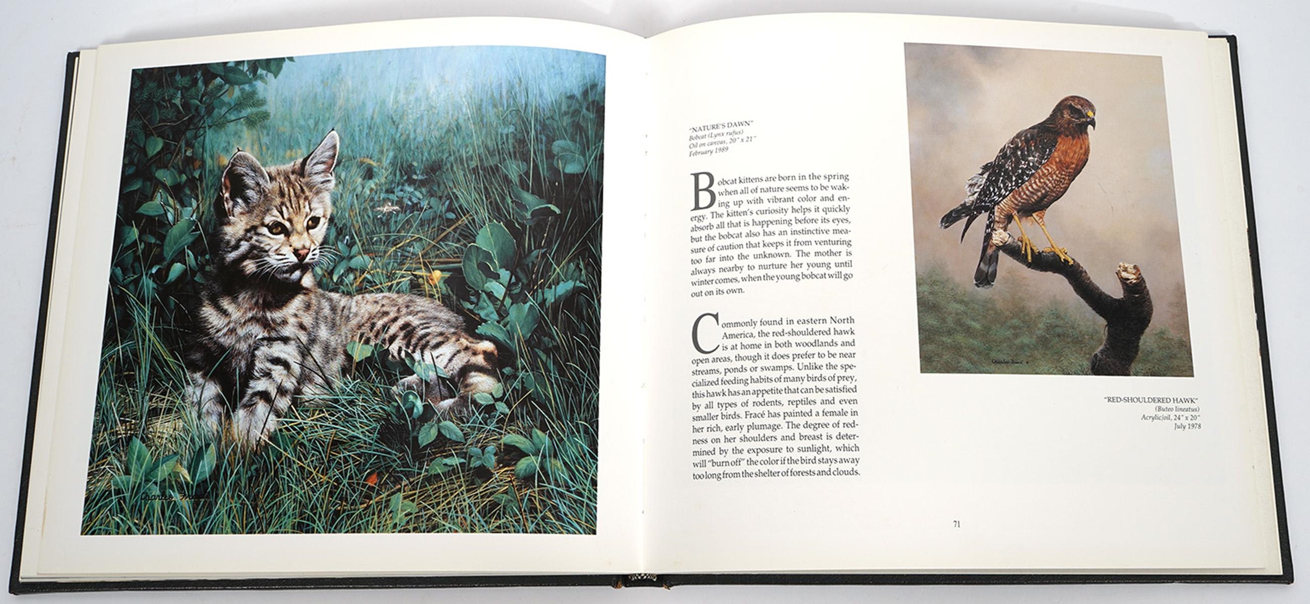 Charles Frace | Charles Frace 'Red Shouldered Hawk' Painting 1978 (1978 ...