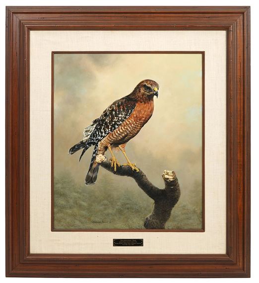 Charles Frace | Charles Frace 'Red Shouldered Hawk' Painting 1978 (1978 ...
