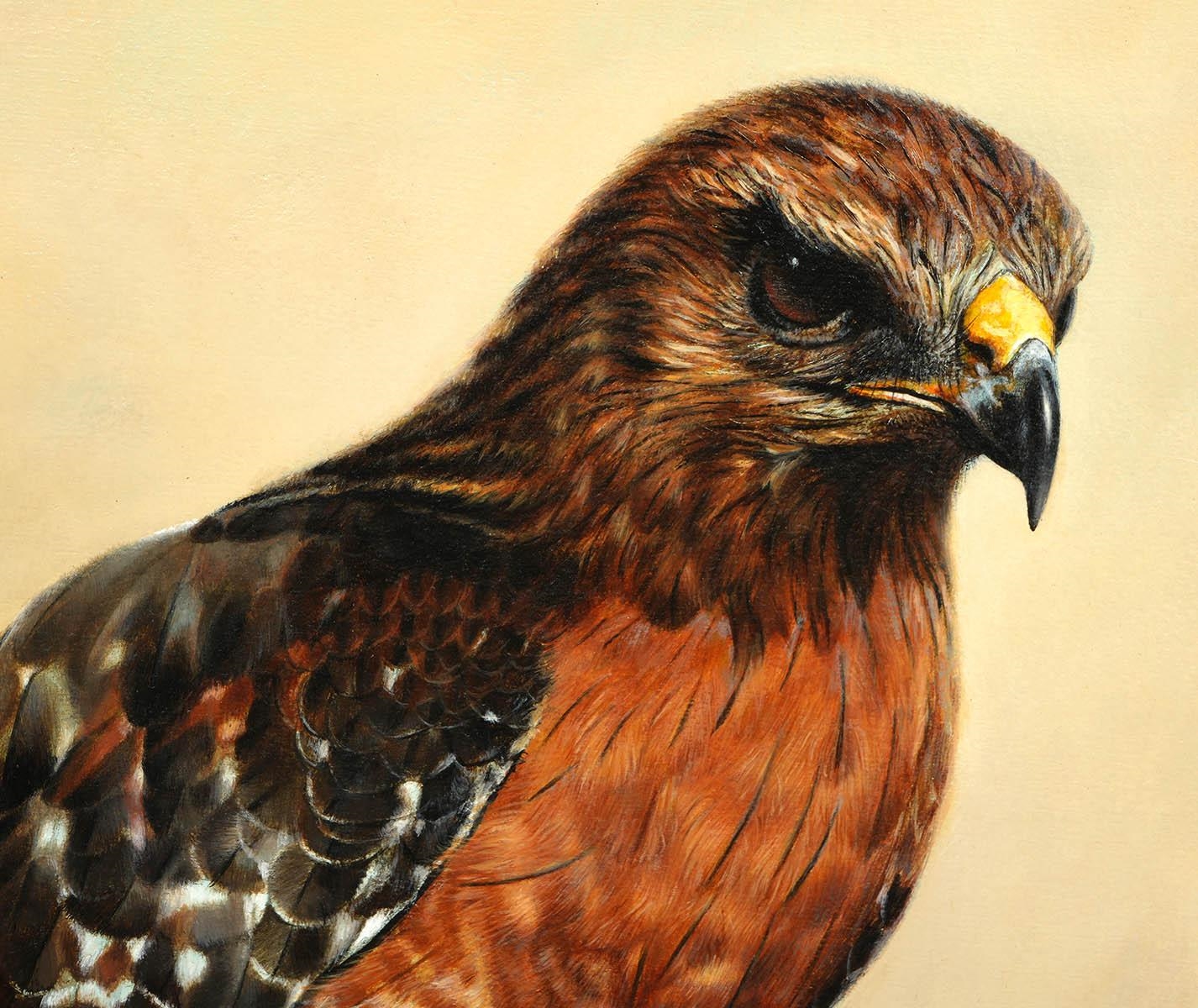 Charles Frace | Charles Frace 'Red Shouldered Hawk' Painting 1978 (1978 ...
