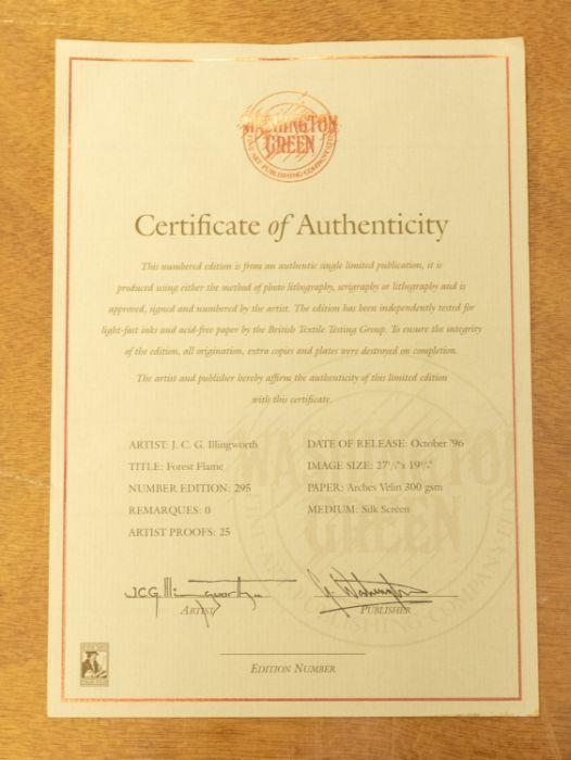 Graham Illingworth | Forest Flame | MutualArt