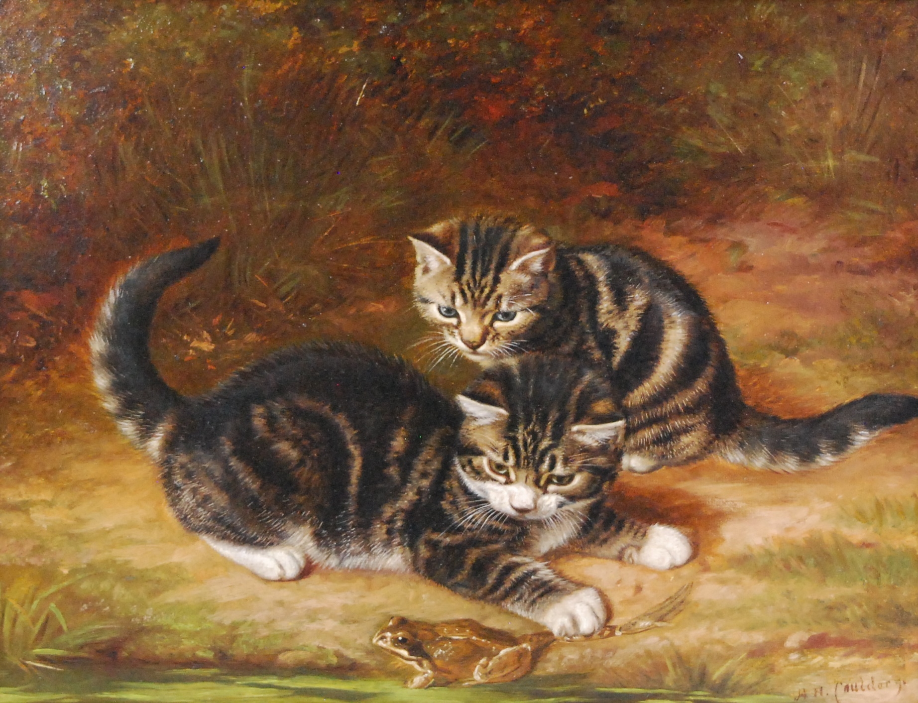 Horatio Henry Couldery | Tabby kittens taunting a toad | MutualArt