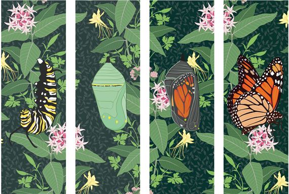 Jane Kim: Migrations | Exhibitions | MutualArt