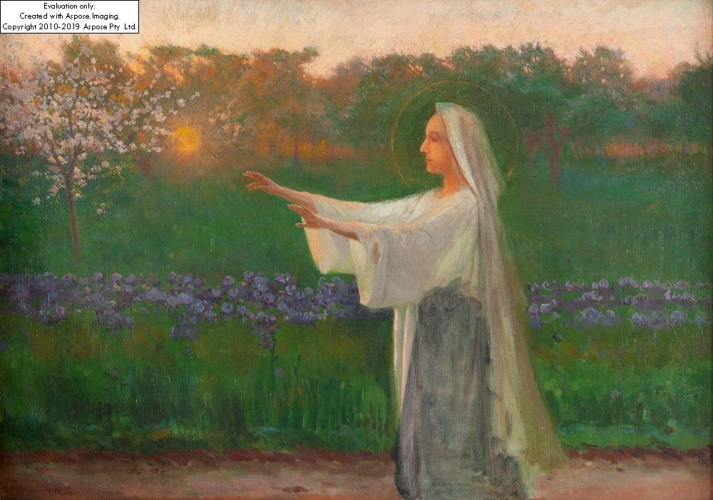 Piotr Stachiewicz | Sobotni promyk | MutualArt