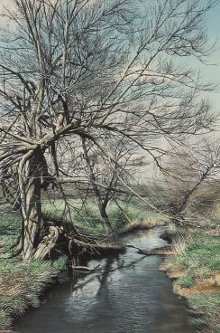 Masayuki Hara | Stream | MutualArt