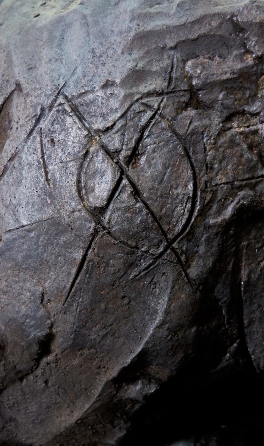 Javier Marín | Male torso, 1995 (1995) | MutualArt