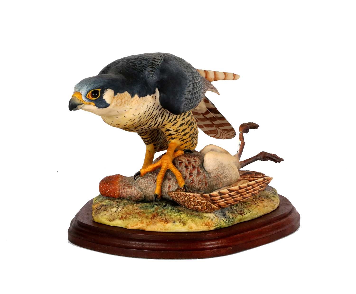 Victor Hayton | Border Fine Arts 'Peregrine Falcon' (Style One) | MutualArt