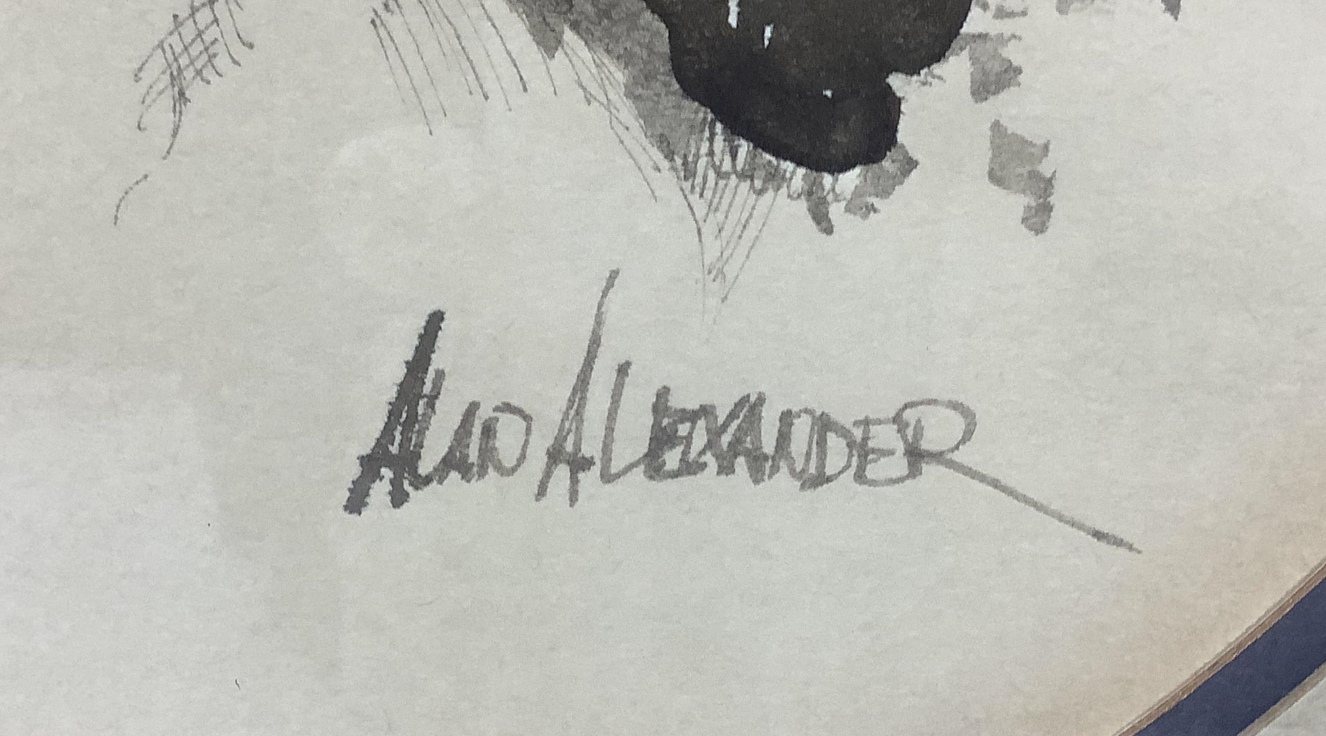 Alan Alexander | Alan Alexander Ink On Paper | MutualArt